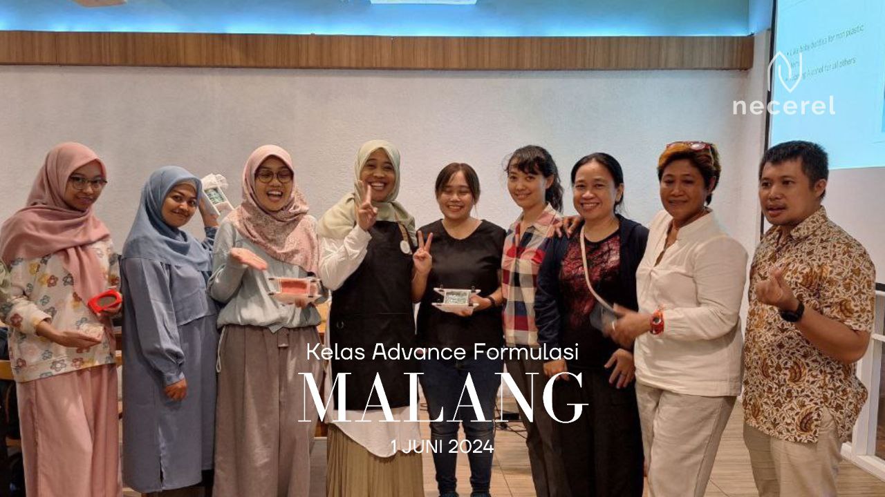 Kelas Advance Offline - Necerel